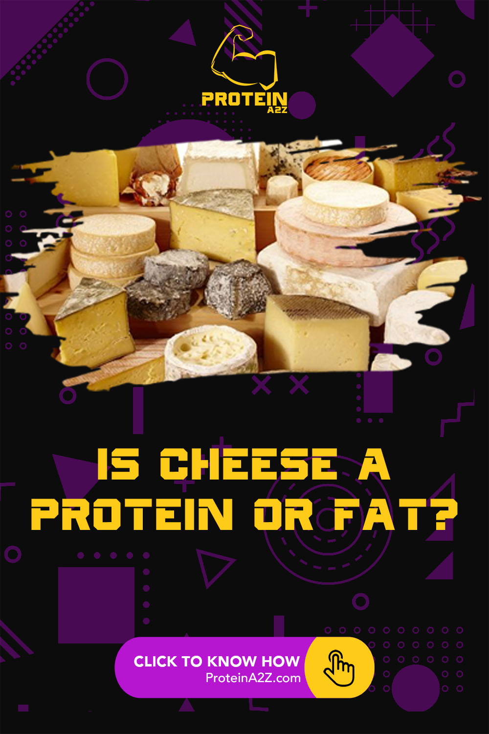 Is Cheese A Protein Or Fat Detailed Answer is-cheese-a-protein-or-fat-detailed-answer